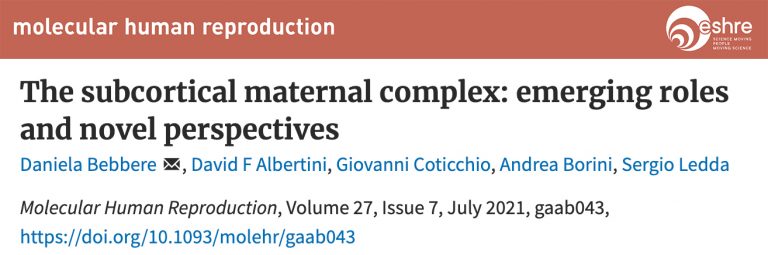 Subcortical maternal complex: emerging roles