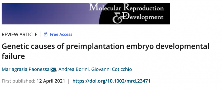 Causes of preimplantation embryo developmental failure