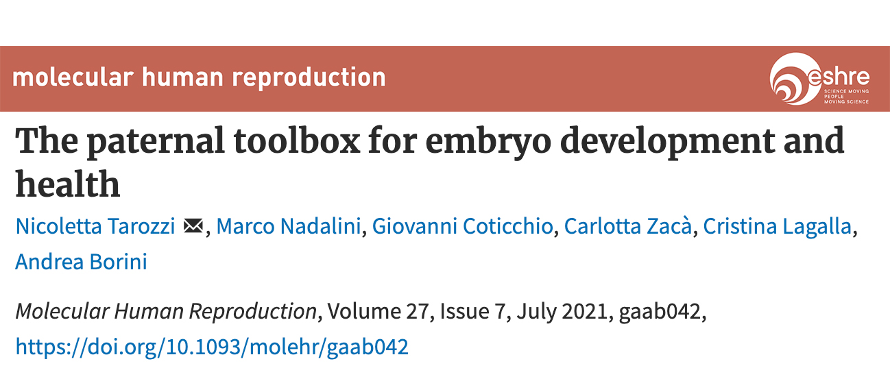 The paternal toolbox for embryo development and health